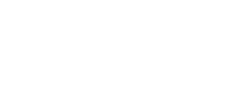 whiting.logo.horizontal.white – WSE IT